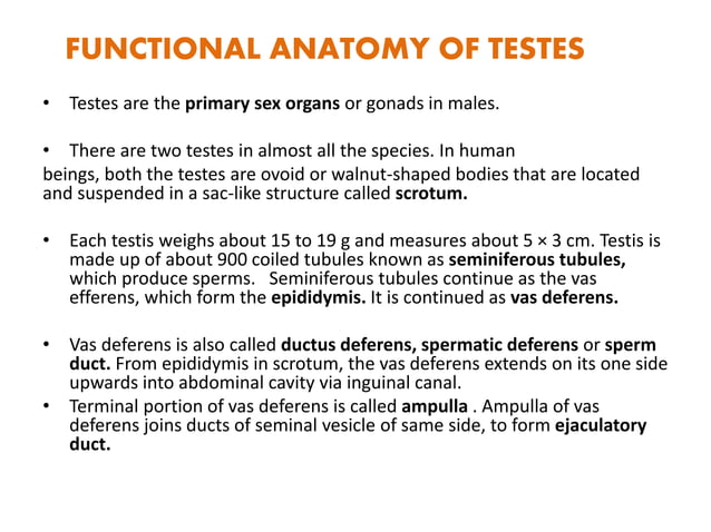 Male & female reproductive system | PPTX