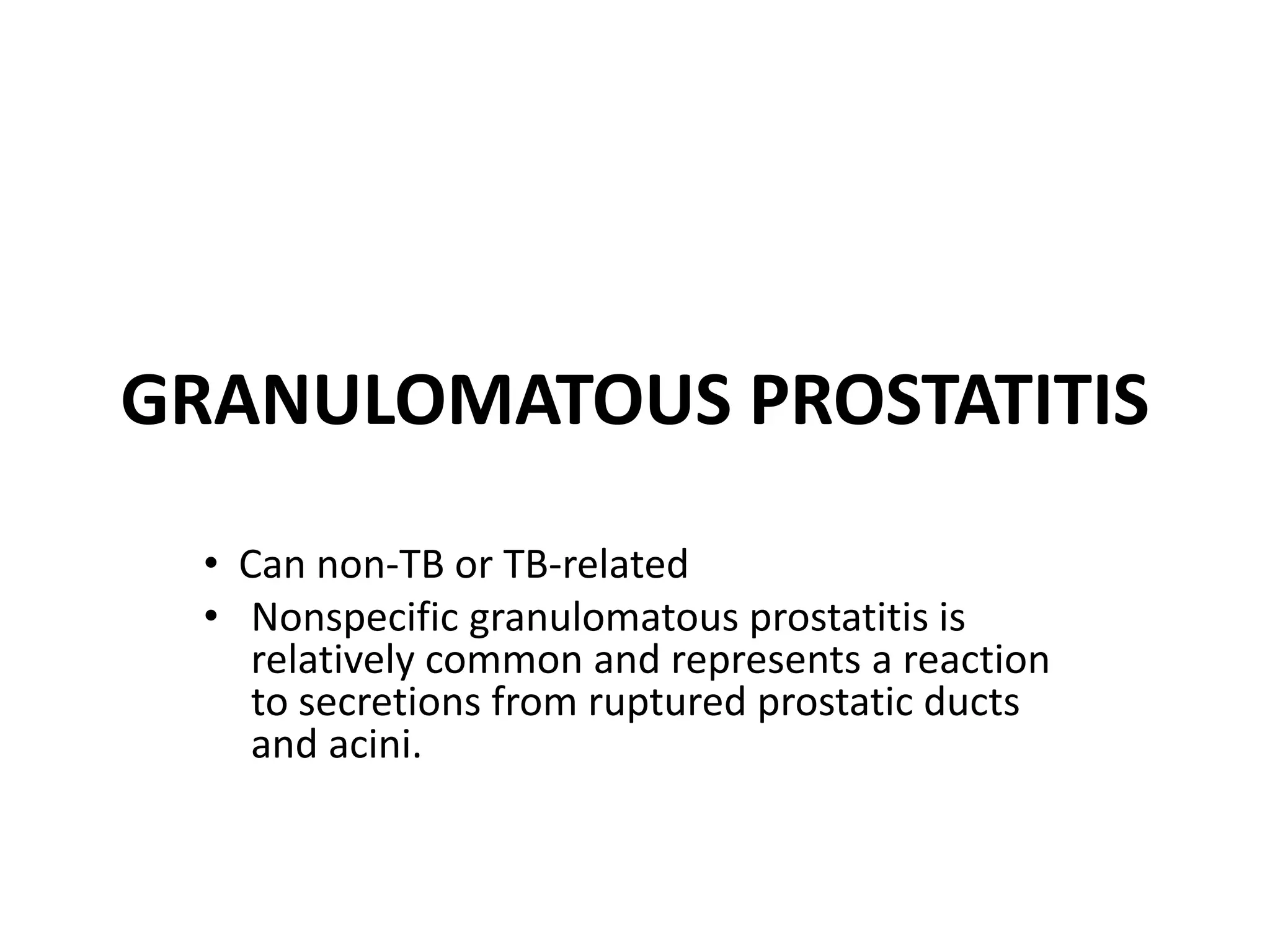Male genital 3 | PPTX