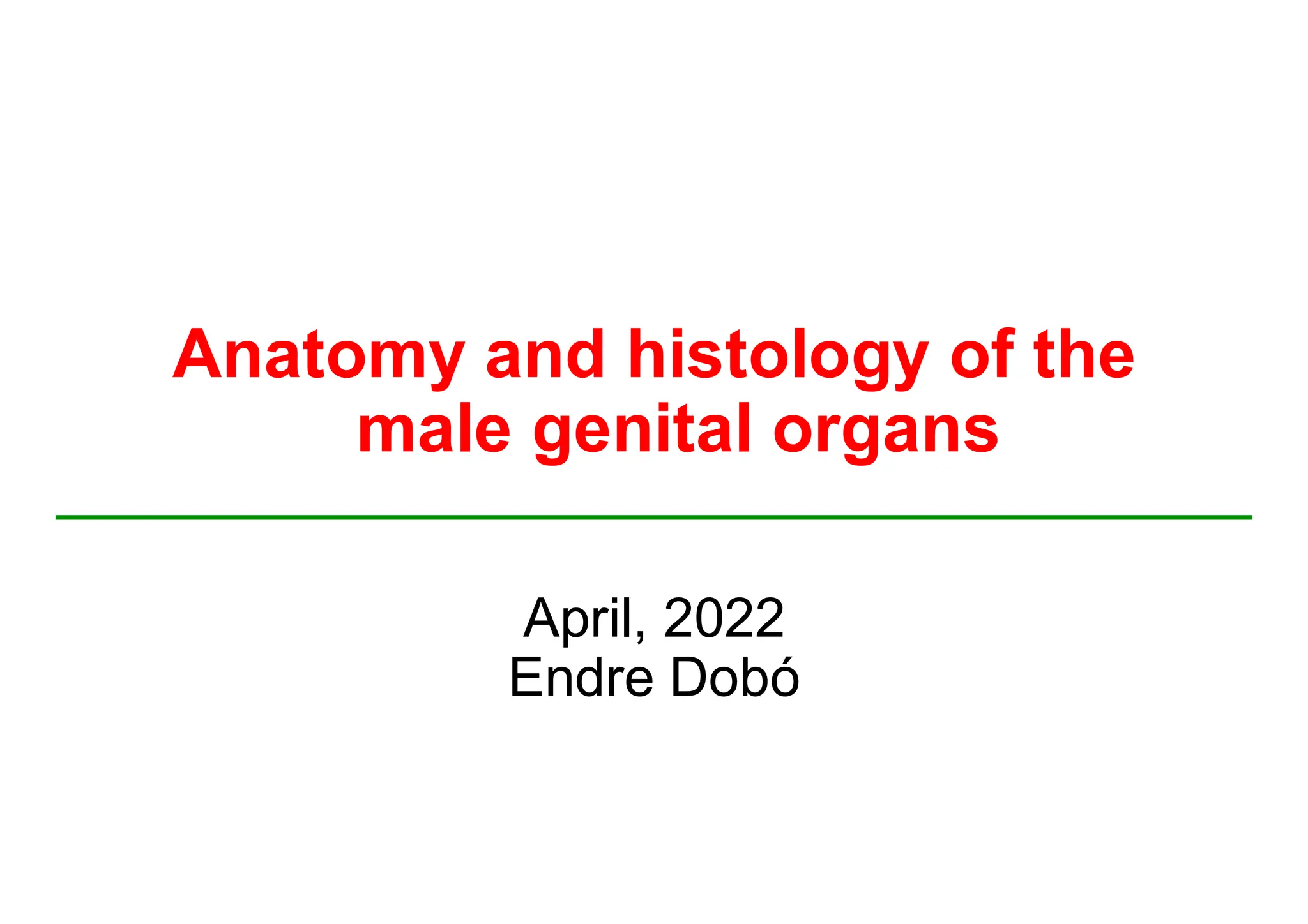 Male genital apparatus (2022-04).pdf