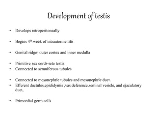 Male genitalia-Forensic | PPTX