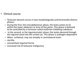 Male genital ii | PPTX