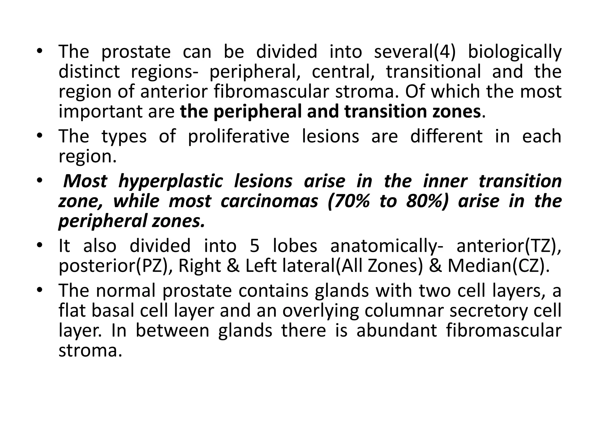 Male genital part i | PPTX