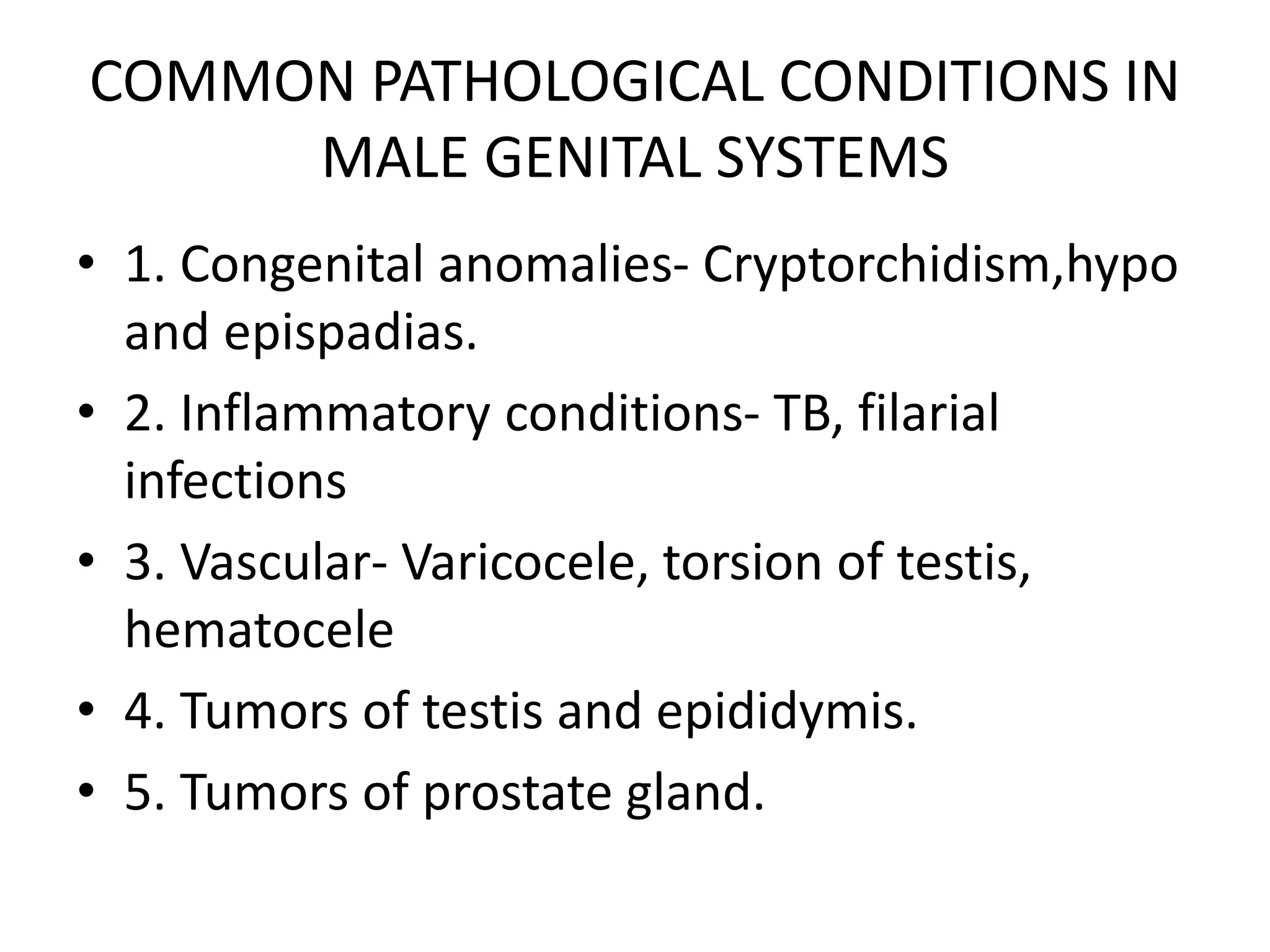Male genital part i | PPTX