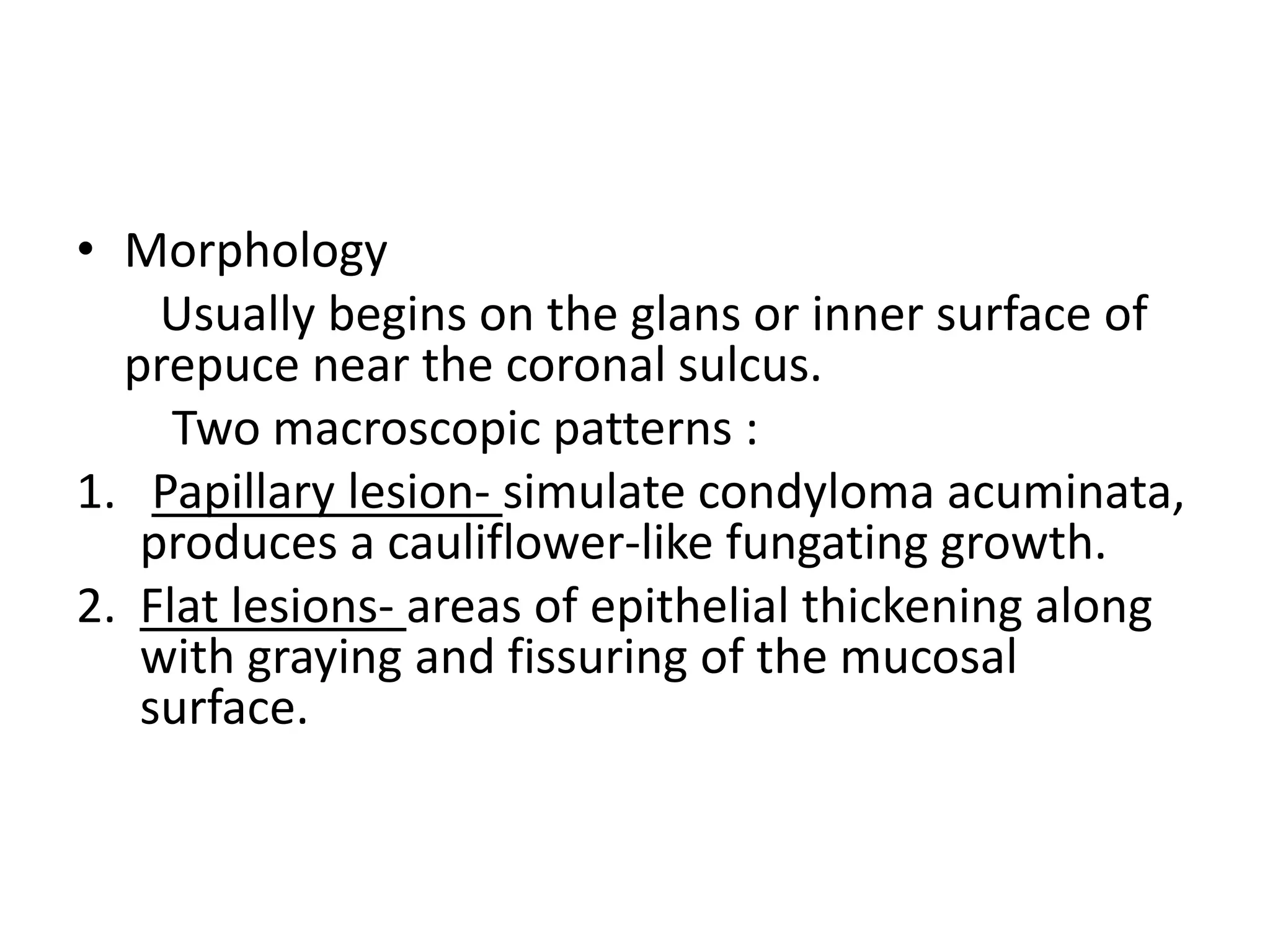 Male genital part i | PPTX