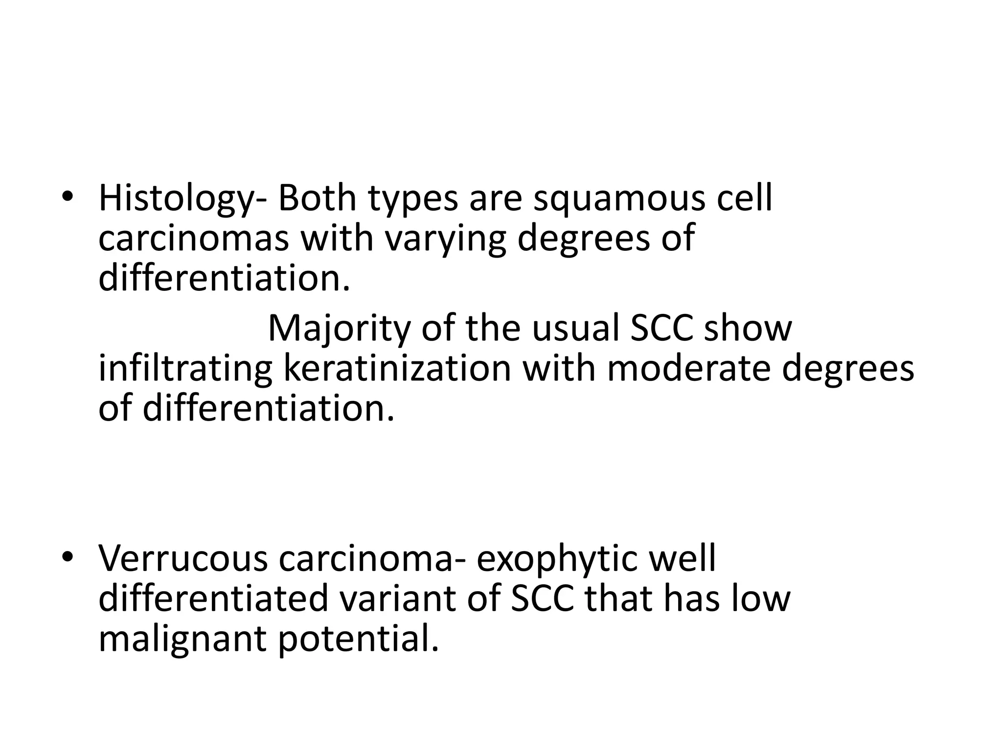 Male genital part i | PPTX