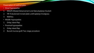 male genitalia congenital diseases | PPTX