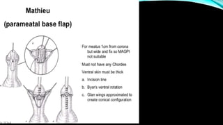 male genitalia congenital diseases | PPTX