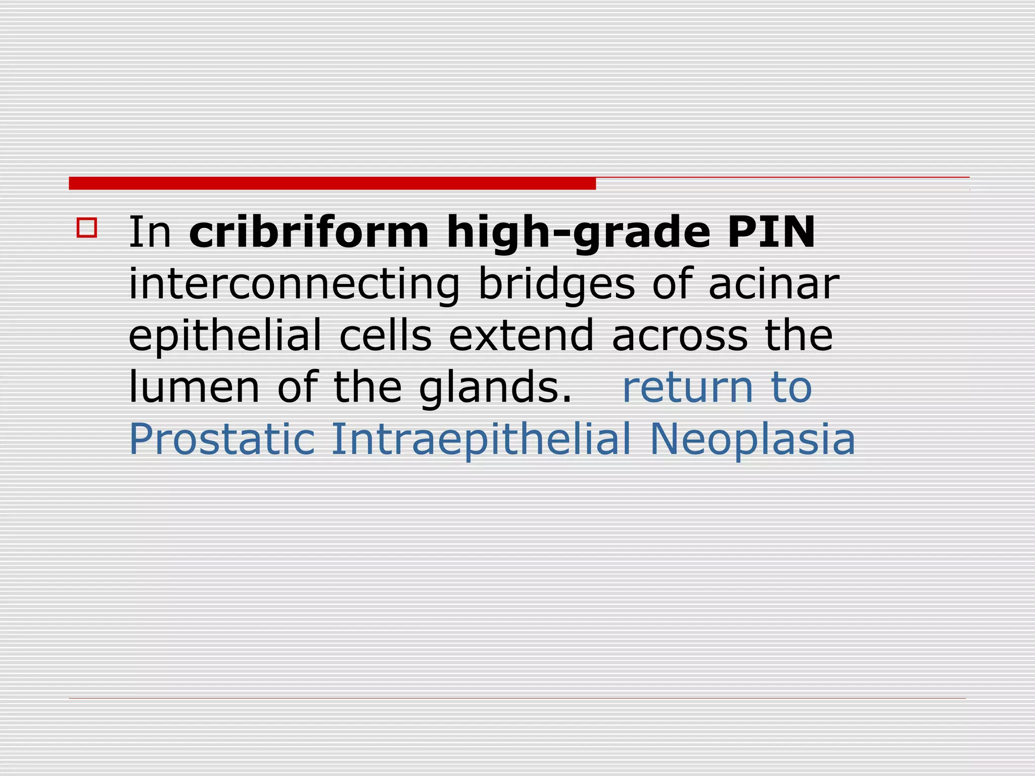 Male genital system | PPT