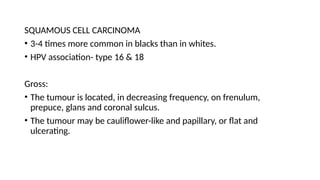Male Genital system class for nursing.pptx
