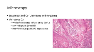 Male Genital system class for nursing.pptx