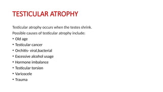 Male Genital system class for nursing.pptx