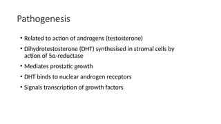 Male Genital system class for nursing.pptx