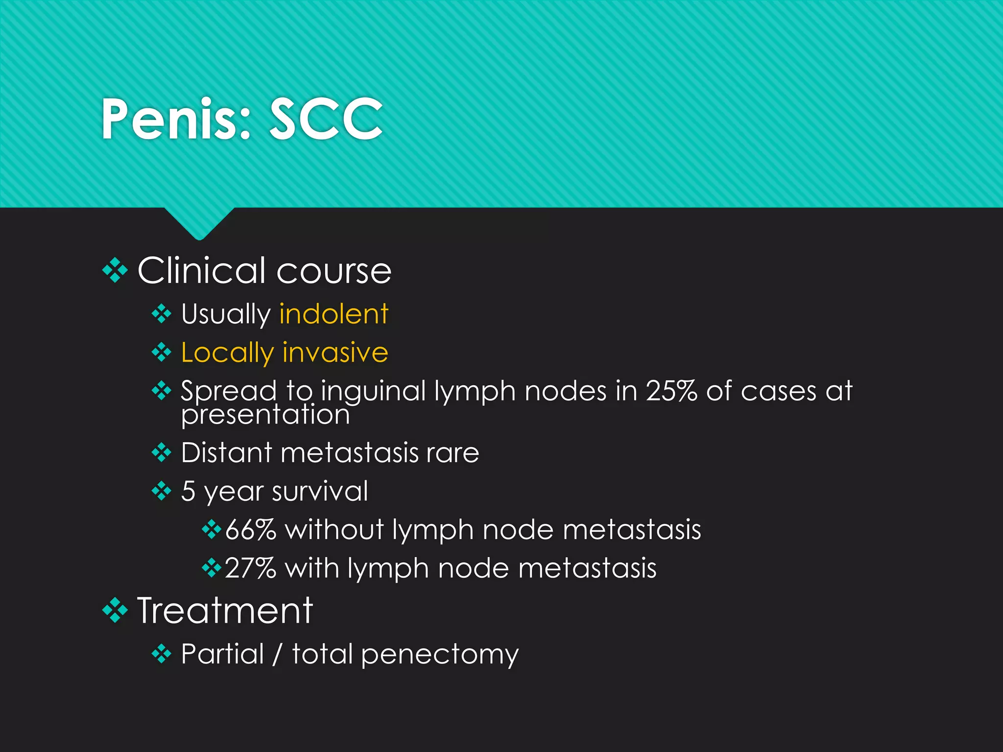 Pathology of Lower Urinary Tract & Male Genital System | PDF