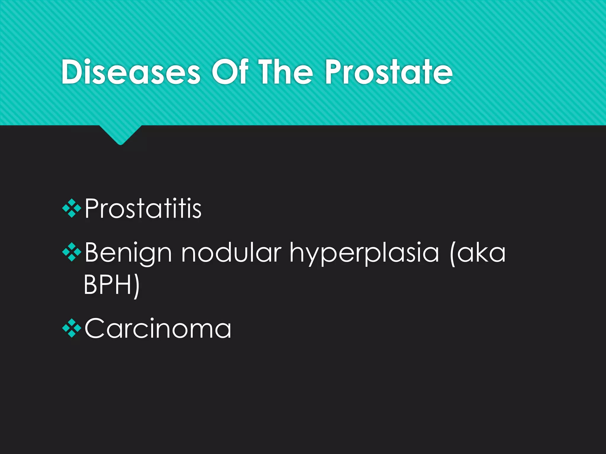 Pathology of Lower Urinary Tract & Male Genital System | PDF