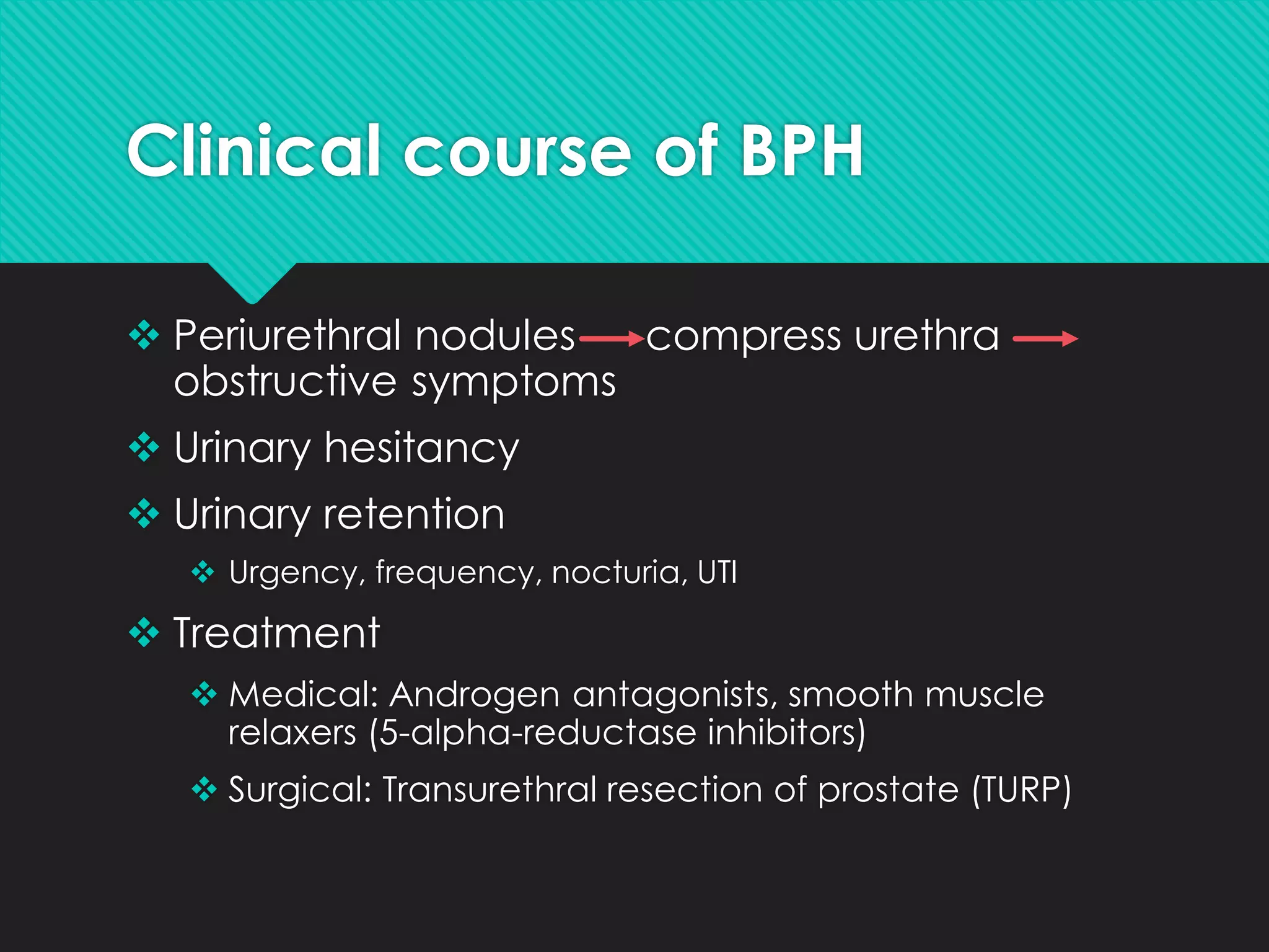 Pathology of Lower Urinary Tract & Male Genital System | PDF