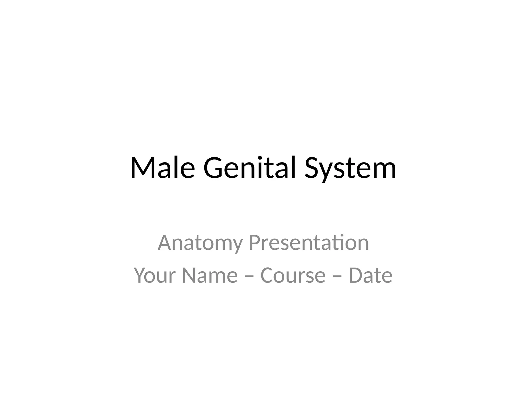 Male_Genital_System_Anatomy_Illustrated.pptx