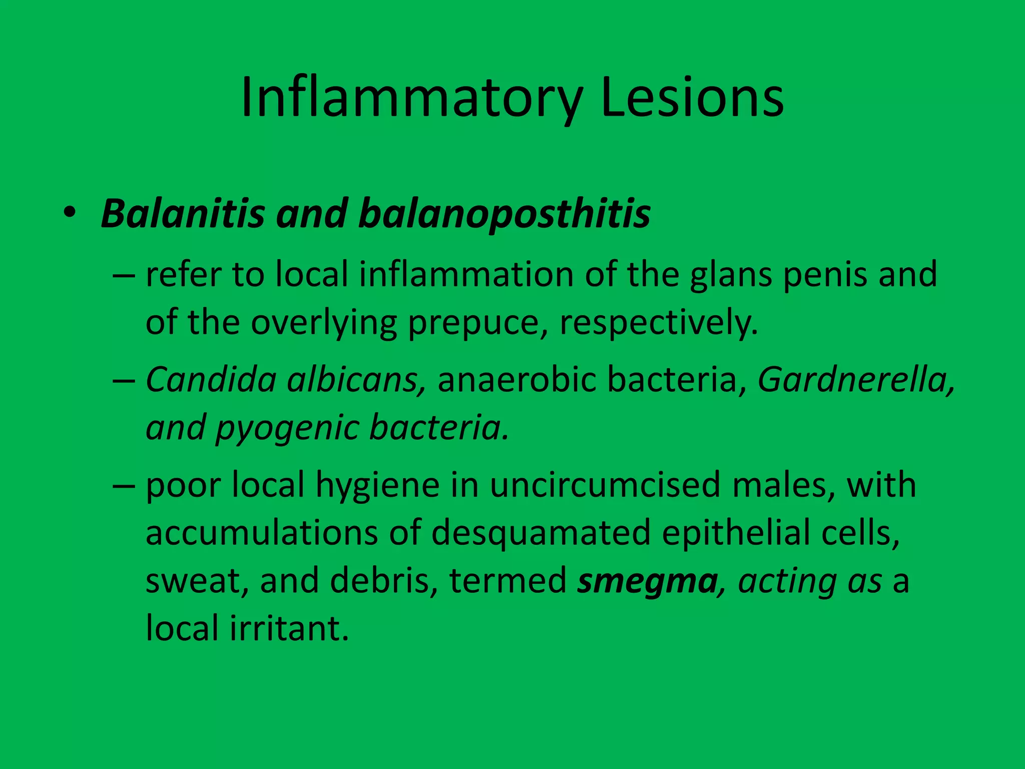 Male genital system and lower urinary tract and Sexually Transmitted ...