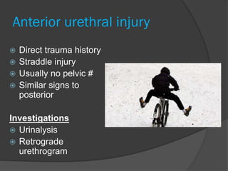 Male genital trauma | PPTX