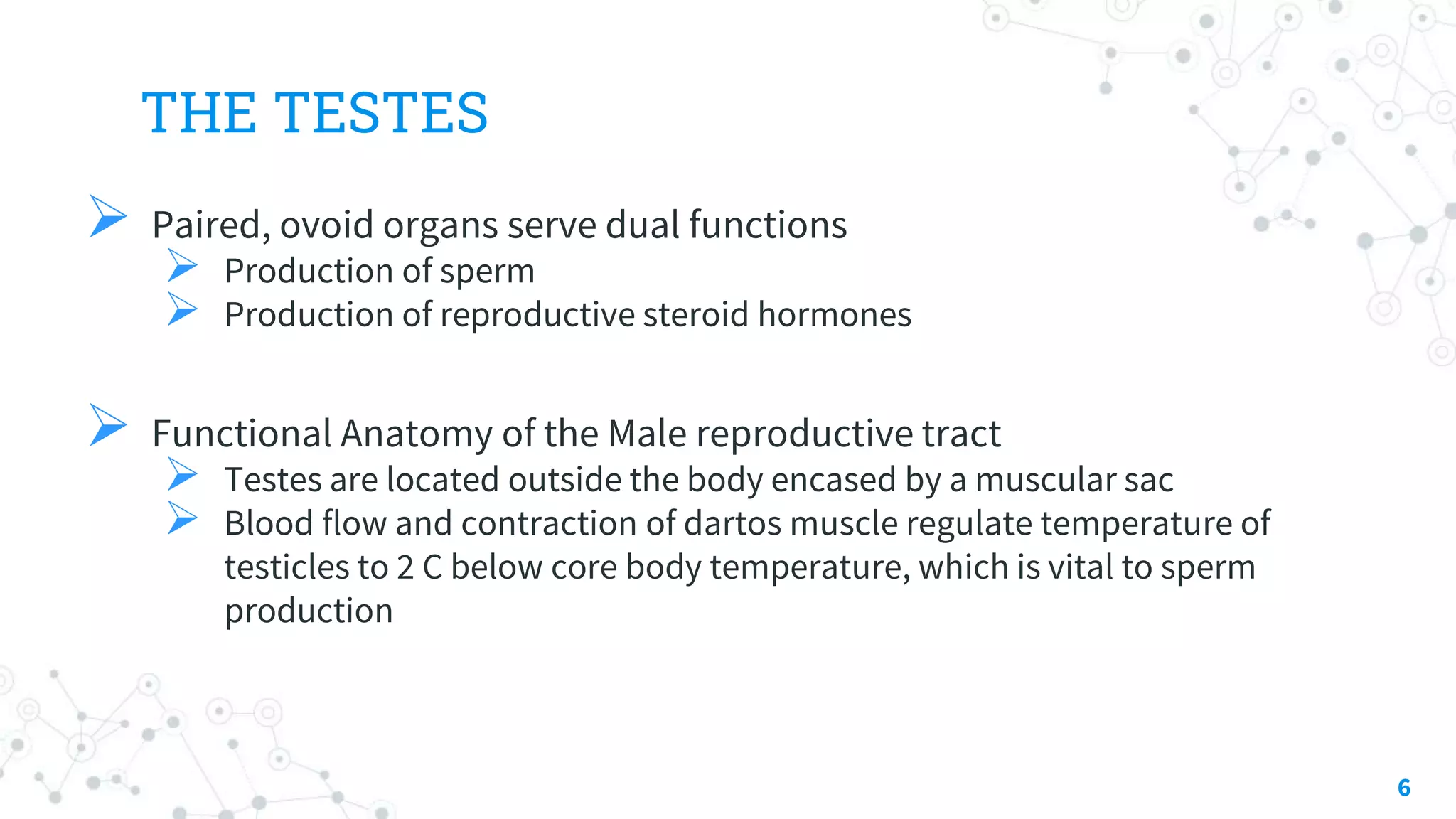 MALE GONADAL HORMONES 2022 final.pptx