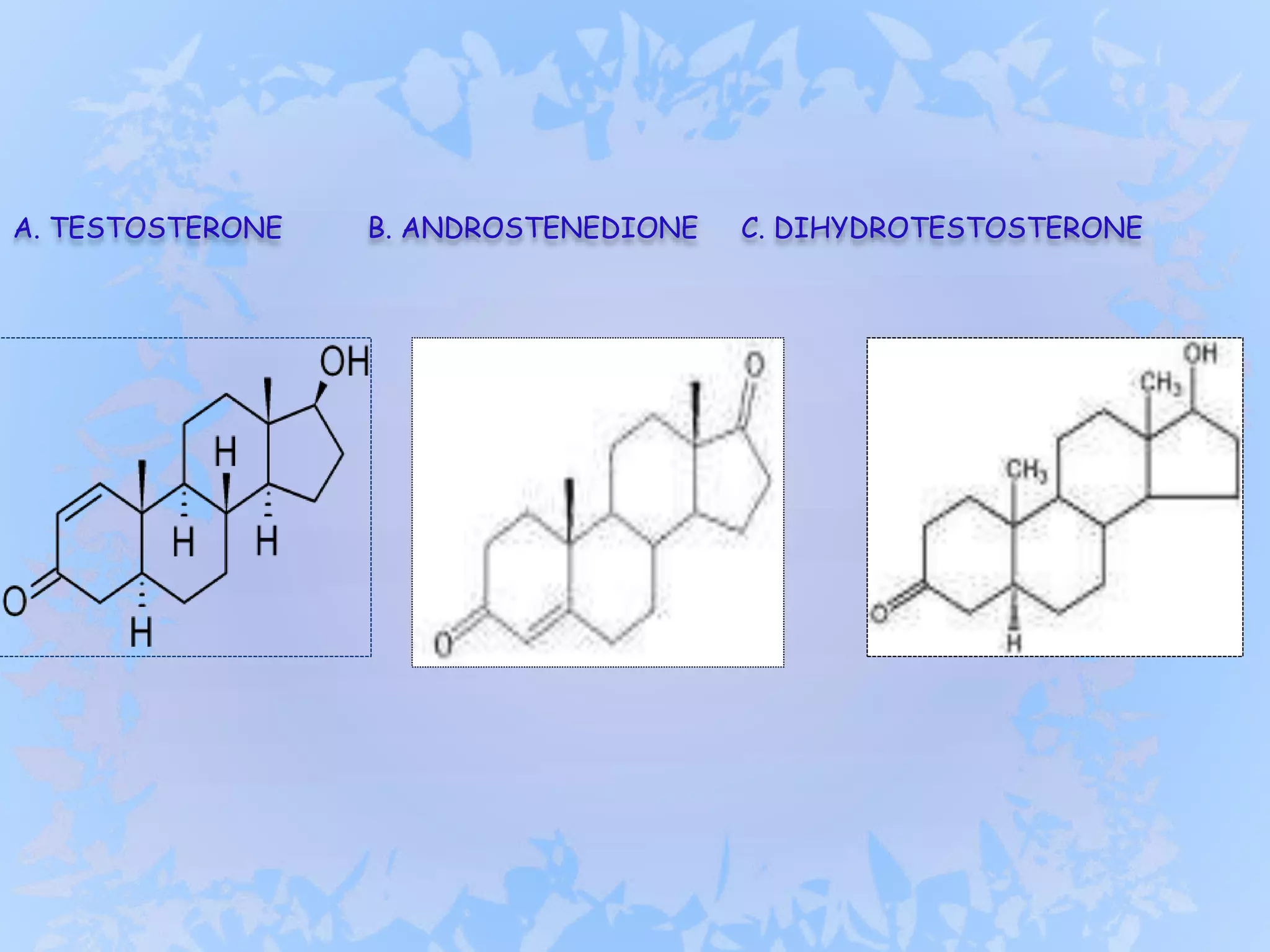 MALE HORMONES.pptx