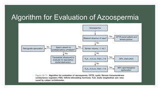 Male Infertility | PPTX