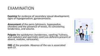 Male Infertility | PPTX