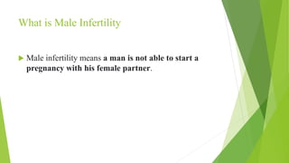 MALE INFERTILITY.pptx
