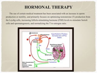Male infertility management | PPTX