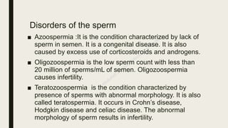 Male Infertility, Educational Platform.pptx