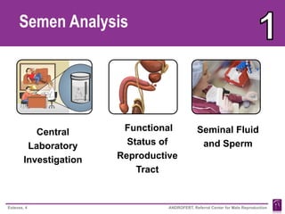 Male Infertility for a Generalist | PPT