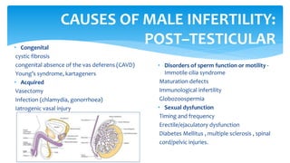 Male infertility PPT - Dr P Usha Devi dt 04 Mar.ppt