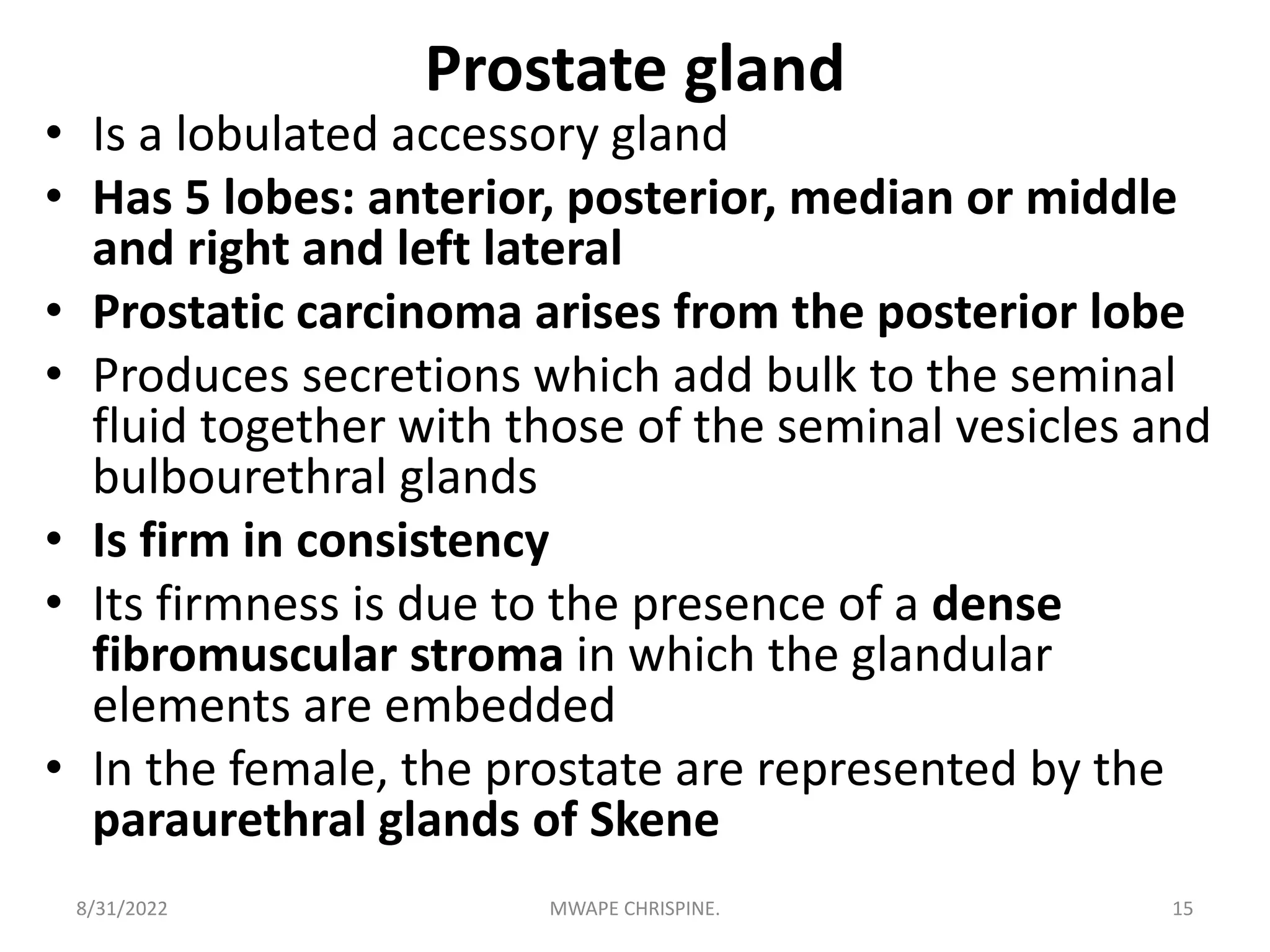 Male Internal Reproductive Organs.pptx | Reproductive Health | Diseases ...