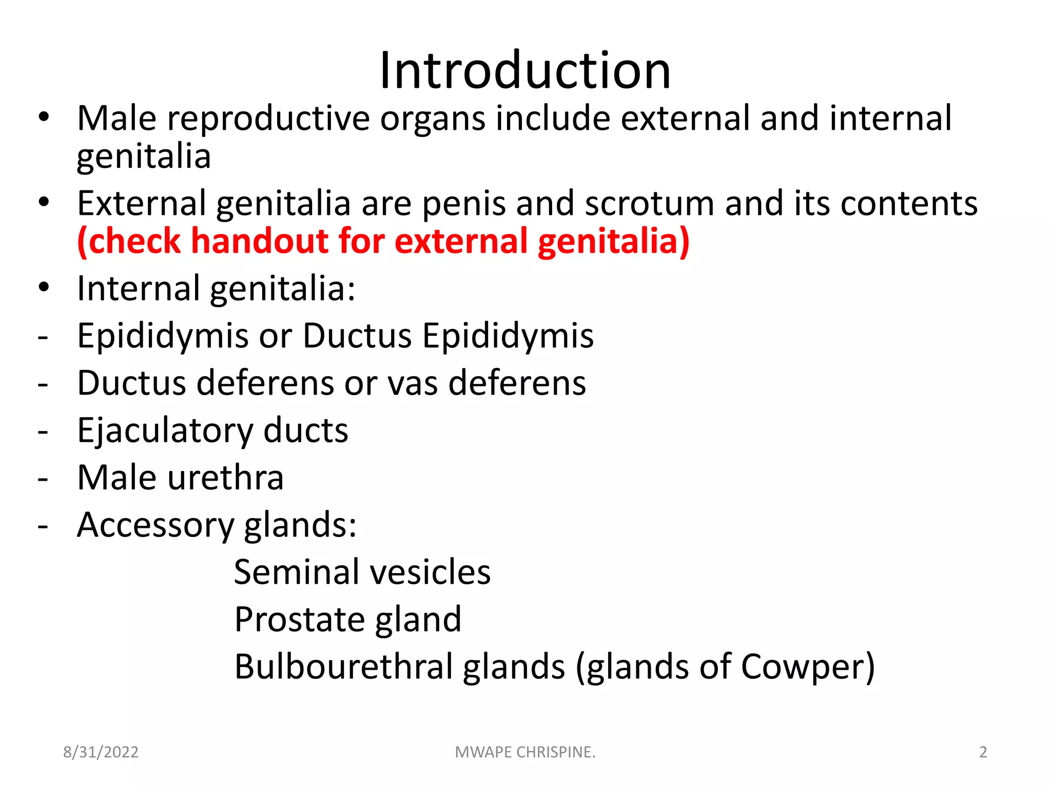 Male Internal Reproductive Organs.pptx | Reproductive Health | Diseases ...