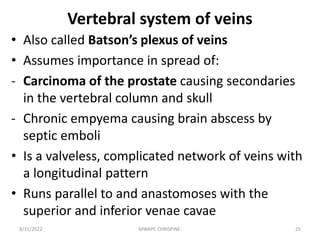 Male Internal Reproductive Organs.pptx | Reproductive Health | Diseases ...