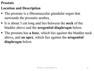 male organ - Copy.pptx TO DETERMINE THE CON | PPT