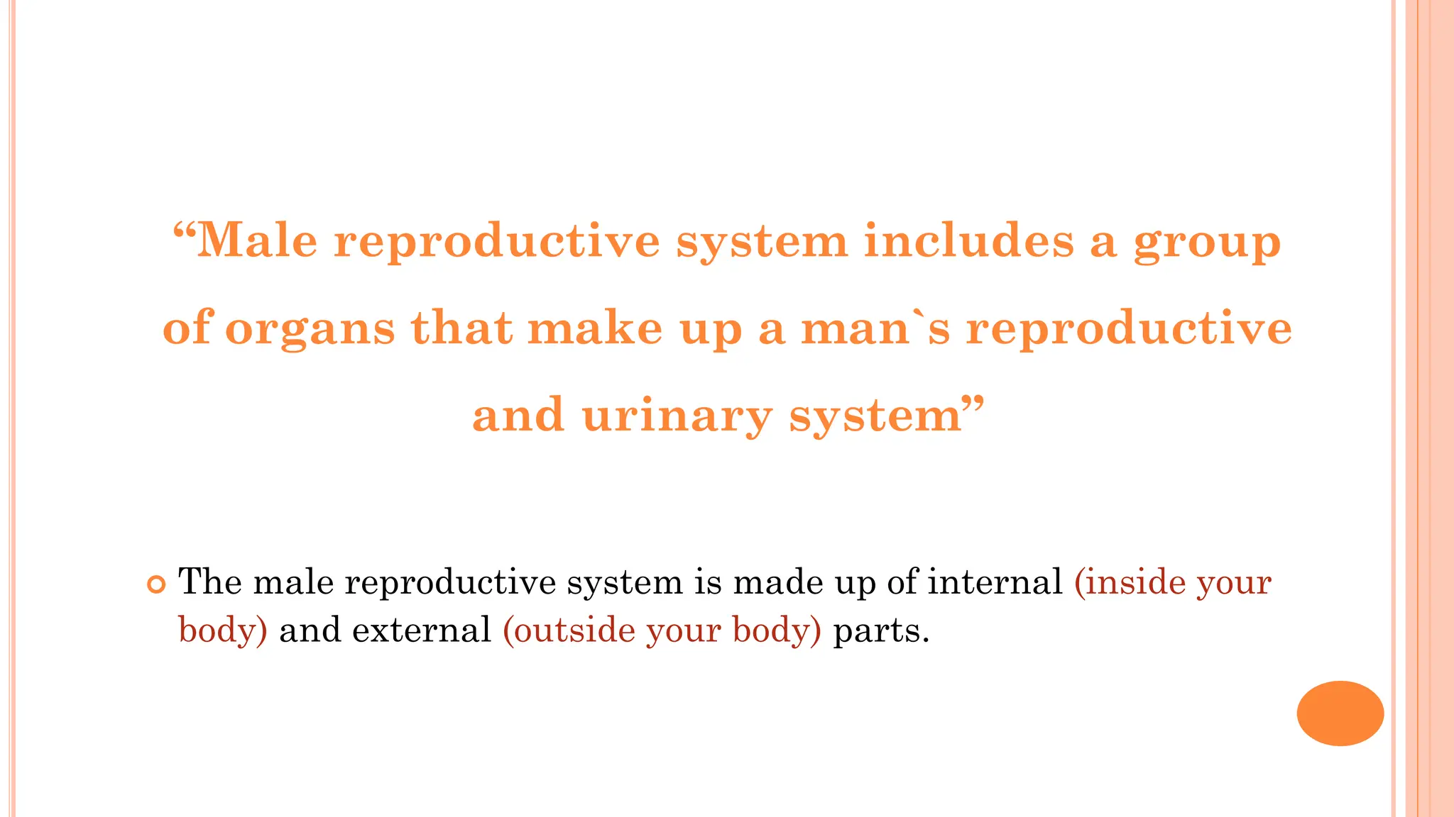 Male Presentation Pdf Pdf