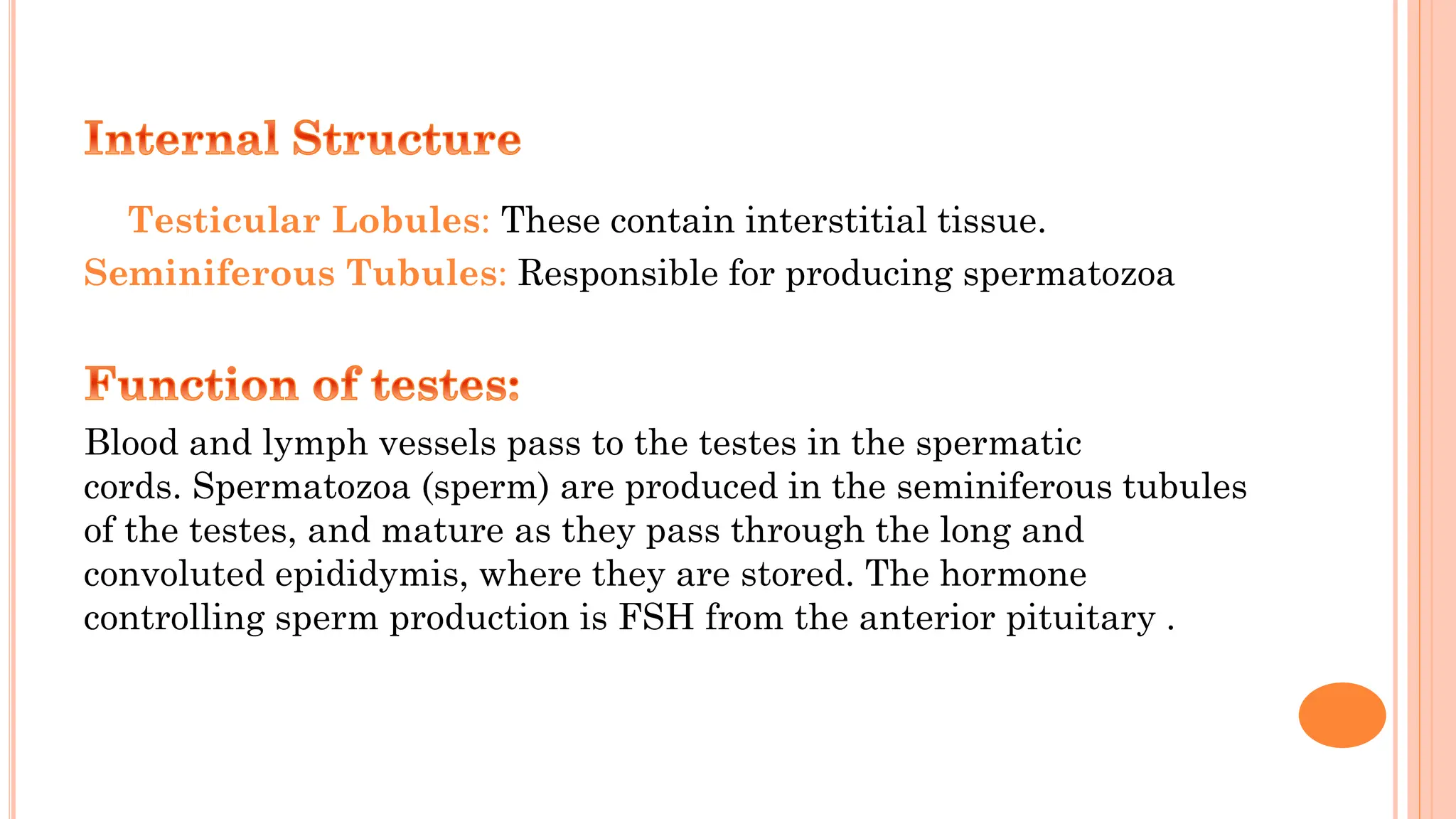male presentation...pdf................. | PDF