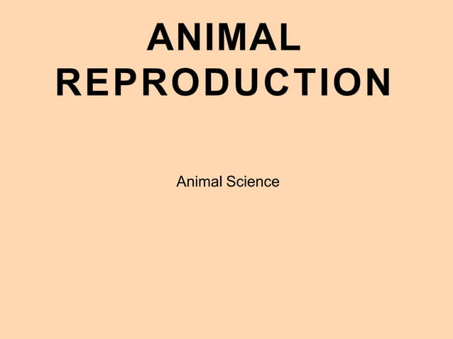 Male reproduction.pptx