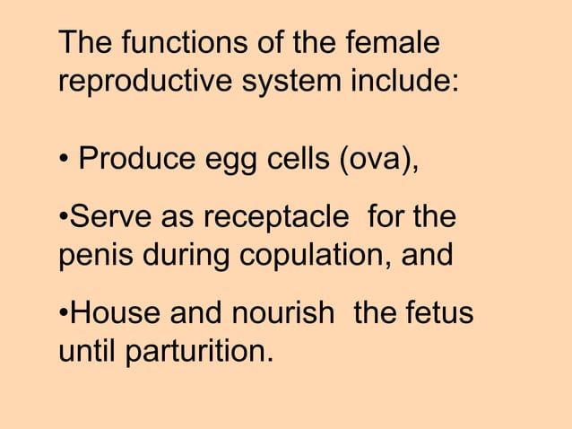 Male reproduction.pptx