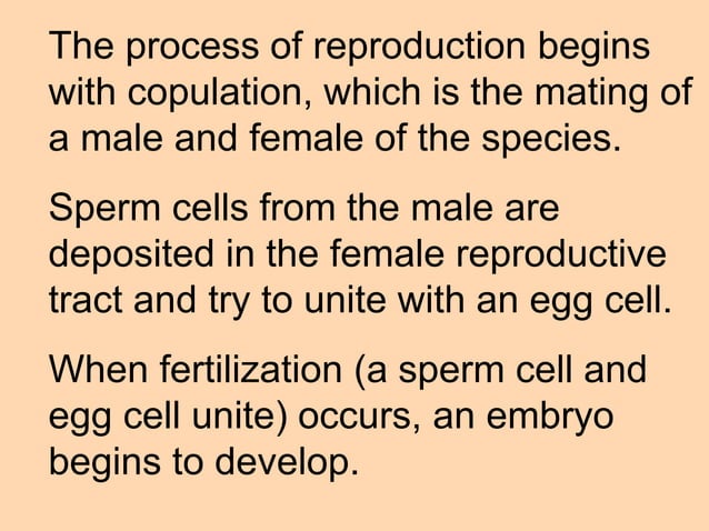 Male reproduction.pptx