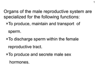 Male reproduction physiology by Suyash Garg .pptx