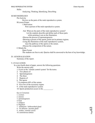 Lesson Plan on the Male Reproductive System | DOCX