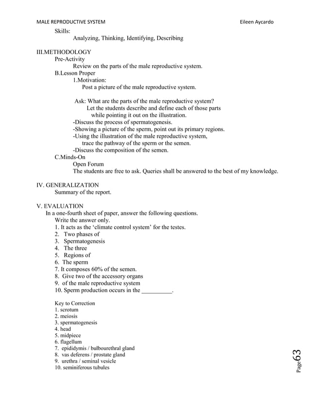 Lesson Plan on the Male Reproductive System | DOCX