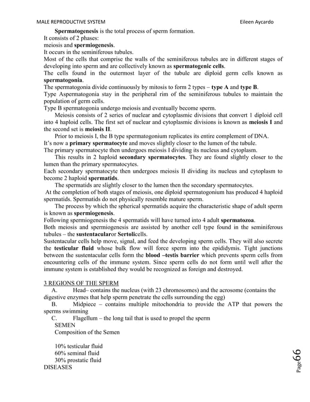 Lesson Plan on the Male Reproductive System | DOCX