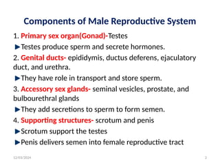 male reproductive component and (2).pptx