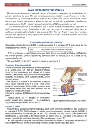 Male reproductive hormones | PDF