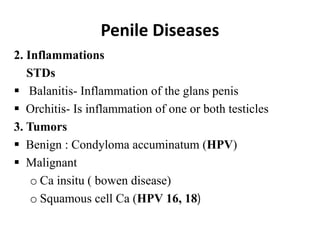 Male Reproductive by Dr. Balcha Nagawo (2).ppt