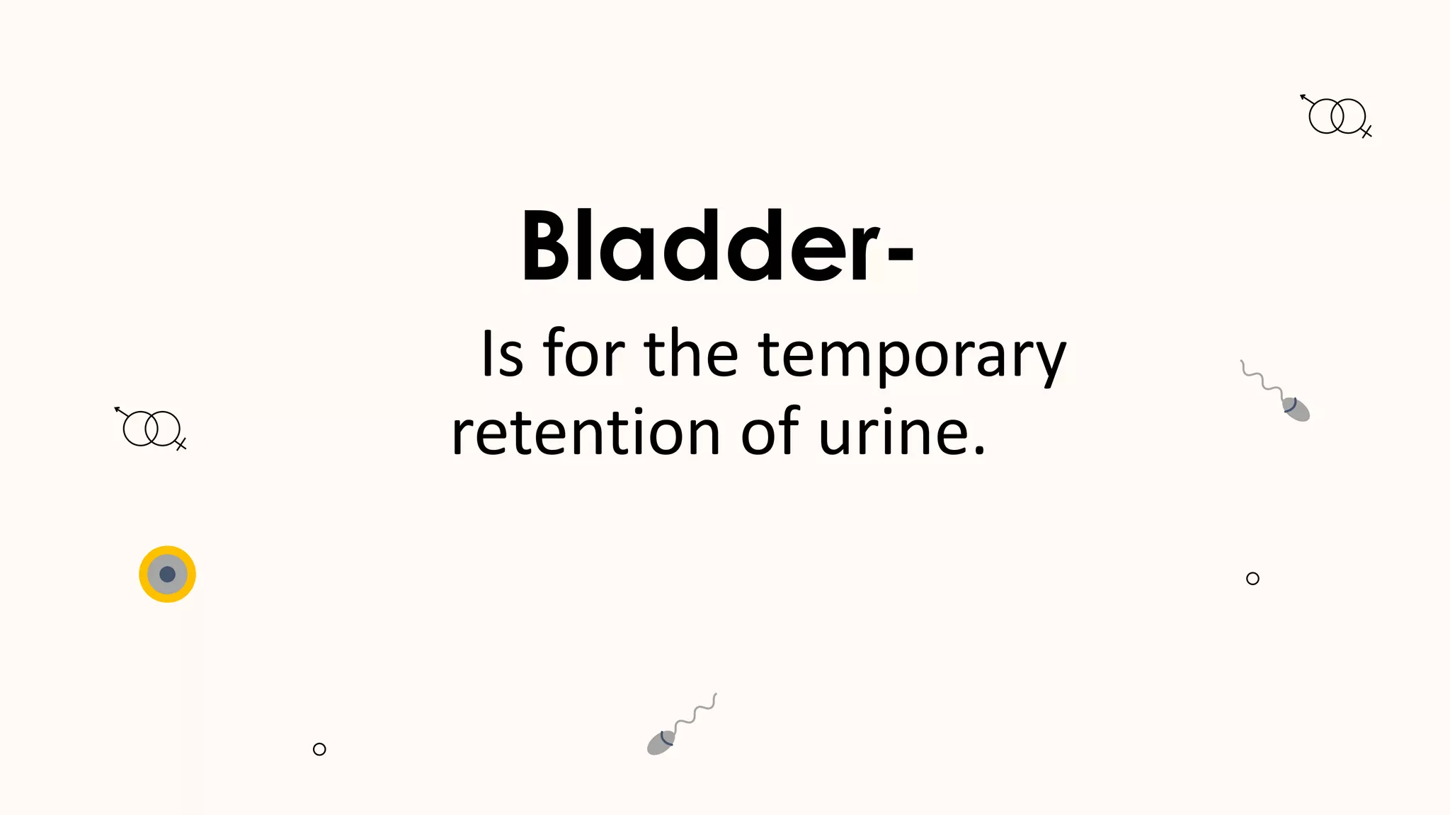 MALE REPRODUCTIVE ORGAN.pdf