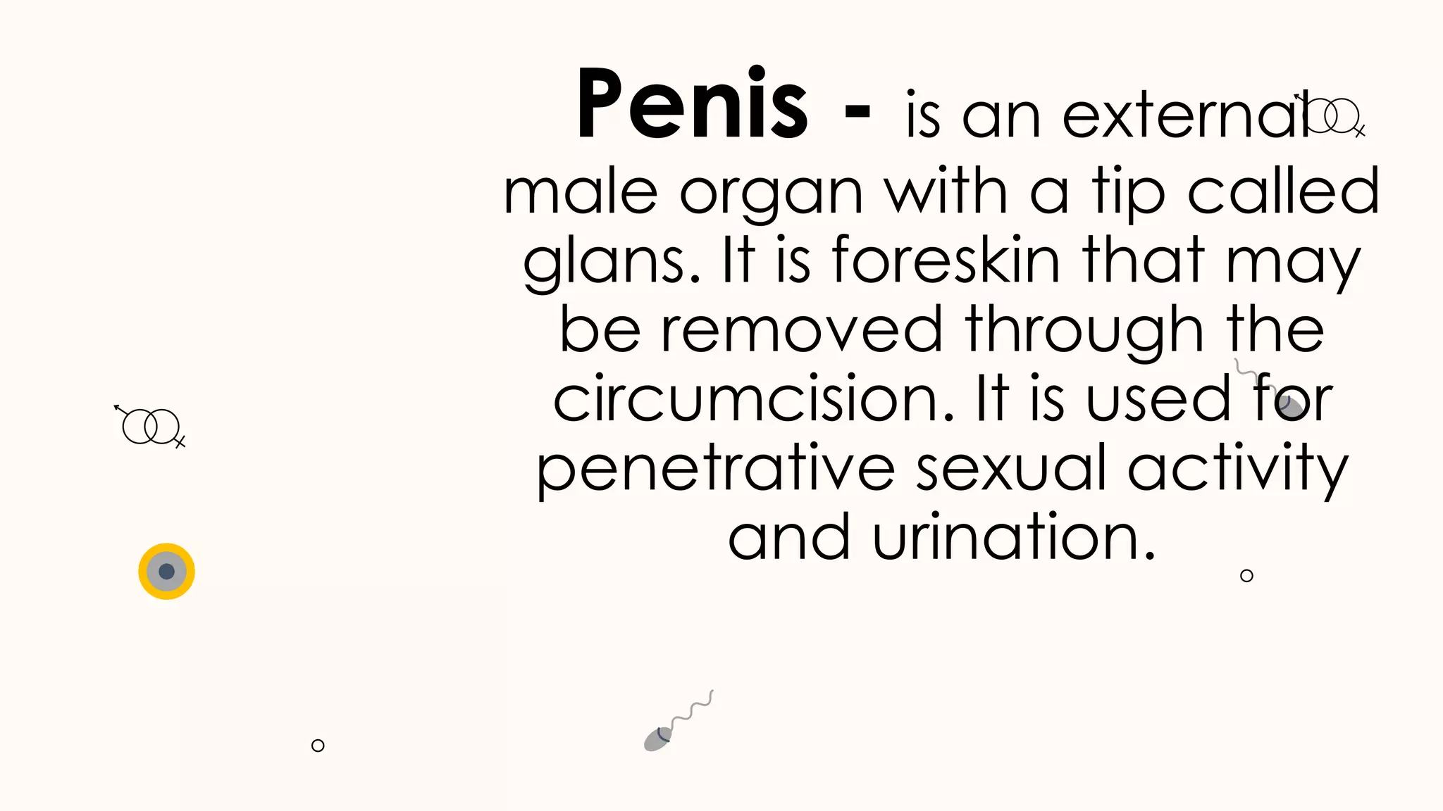 MALE REPRODUCTIVE ORGAN.pdf