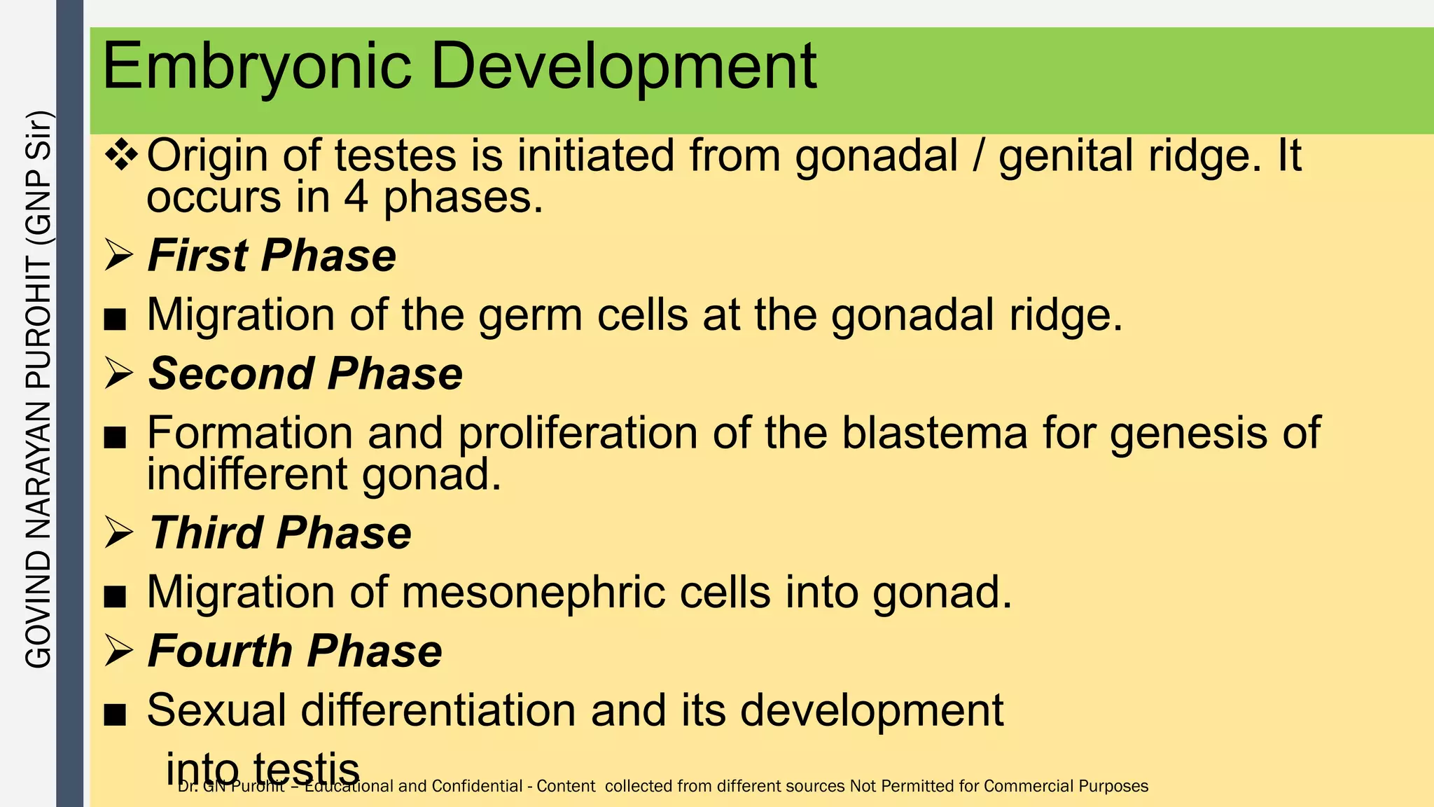 Male reproductive organs anatomy and physiology | PDF